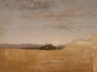 Beige Field – Wall and Wonder